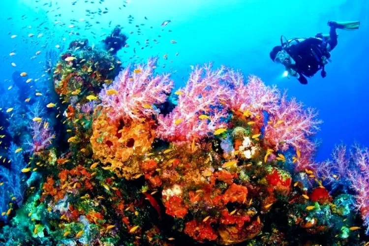 Taman Olele, Surga Tersembunyi di Sulawesi - Kinerjaekselen
